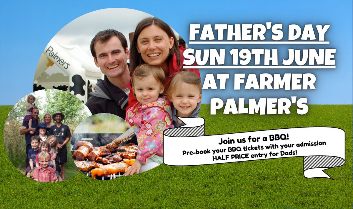 Dorset Food and Drink Blog Posts Dorset Food and Drink